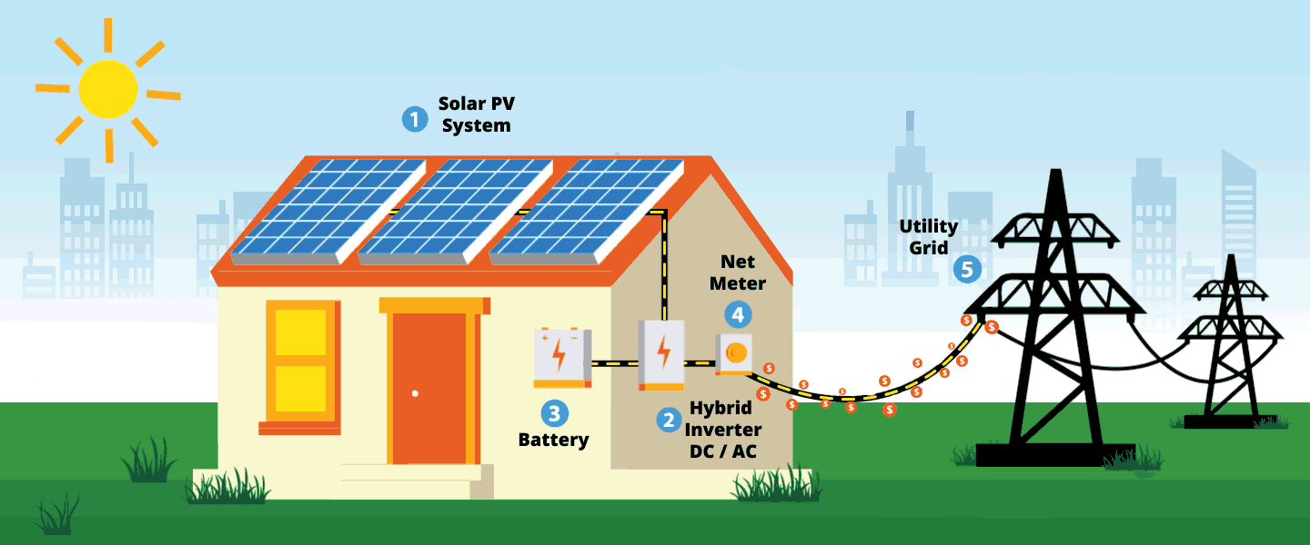 Suntree Lanka Pvt Ltd Leading Solar Solution Provider In Sri Lanka